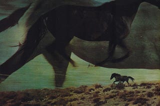 SAVE (For Later) | Kenzie Burke | Substack