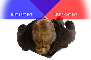 Faces of X | Stephanie Lepp | Substack