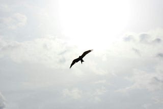 Anna Mack's Stack | Anna Mackenzie | Substack