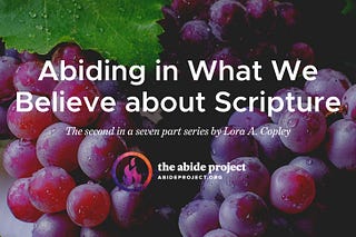 The Abide Project | Substack