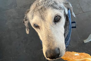 J.F. Riordan; Reflections on a Life in Exile | J. F. Riordan | Substack