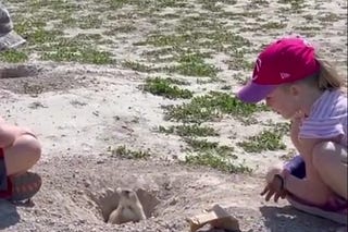 The Rebel Patient™ | Dr Margaret Aranda | Substack