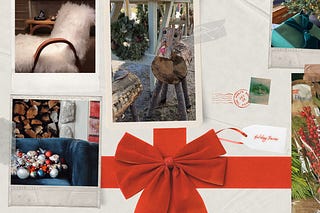 The Cabinista | Peyton Davies | Substack