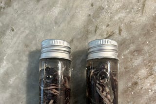 Clotastrophe | Laura Kasner | Substack