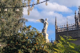 海马星球 Seahorse Planet | Substack