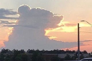 PauloMacro’s Substack | Substack