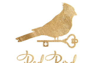 Saint Peter's Apprentice | Substack