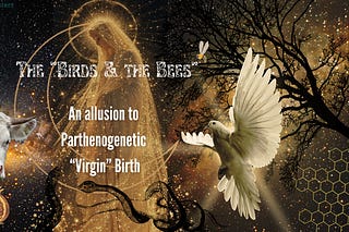 The Venus Diaries by Katriena Emmanuel | Substack