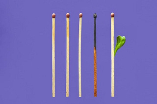 A Life Engineered | Steve Huynh | Substack