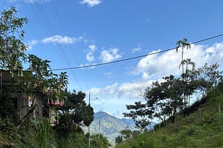 Jack’s Substack | Substack