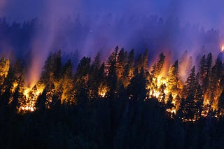 NewsGuard's Reality Check | Substack