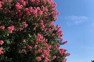 More Questions Than Answers | Toni Gatlin | Substack