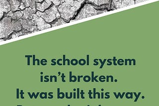 Radical Learning’s Substack | Substack