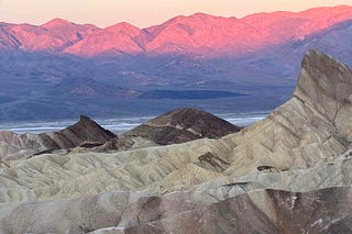 The Skeptical Cardiologist | Substack