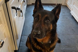 J.F. Riordan; Reflections on a Life in Exile | J. F. Riordan | Substack