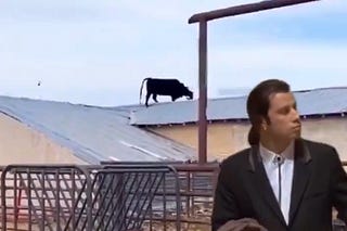 The Rebel Patient™ | Dr Margaret Aranda | Substack