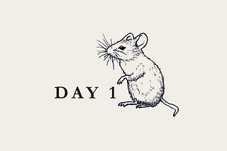 Monica’s Substack | Monica Padman | Substack