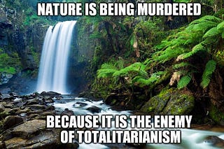 Uncensored | Frances Leader | Substack