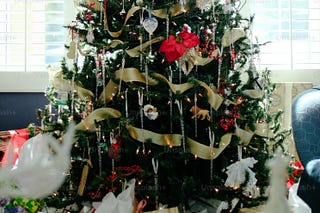 John’s Substack | John Saccone | Substack