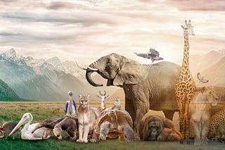 Lead IAS Academy | Substack