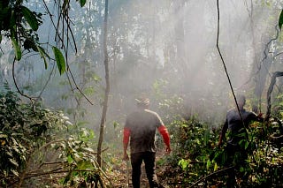 Brasil de Direitos | Substack