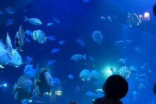 The1ight | Quang Nguyen | Substack