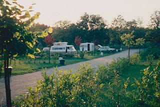 Read Your Color | Steven Reese | Substack