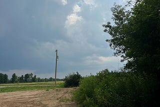 House of Green | Alexandra Fasulo | Substack