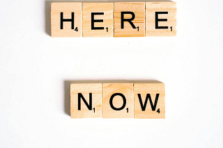 Michelle’s Substack | Michelle Wadleigh | Substack