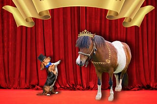 Real Deal Sugar Hill | Amber Chambers | Substack