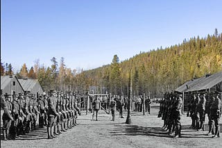 Connie’s Substack | Connie Shields | Substack