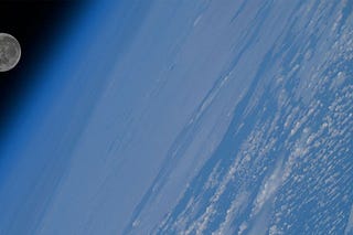 Sara's Fun Facts | Substack