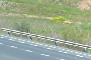 The Truth Barrier | Celia Farber | Substack