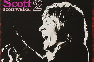 Marty's Substack | Marty Willson-Piper | Substack