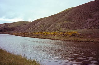 Human Stuff | Lisa Olivera | Substack