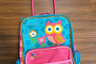 Not So Secret Agent | Sally Ekus | Substack