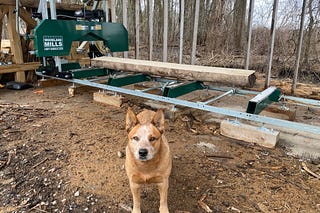 Midas Letter | James West | Substack