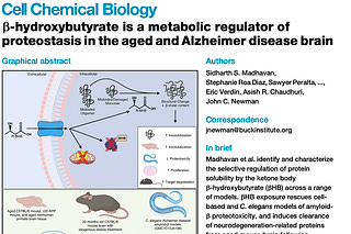 Nicholas’s Substack | Nick Norwitz | Substack