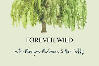 Meagan’s Substack | Meagan McGovern | Substack