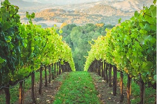 John’s Substack | John Saccone | Substack