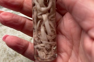 Clotastrophe | Laura Kasner | Substack