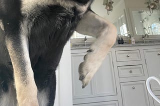 J.F. Riordan; Reflections on a Life in Exile | J. F. Riordan | Substack