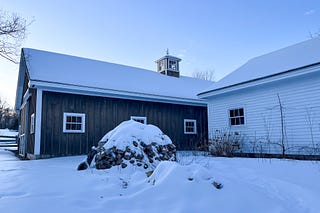 Backyard Farming Connection | Gretchen | Substack