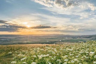 Serenity in Suffering | Donna Bucher | Substack