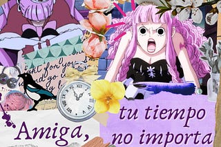 La urraca del Velo | Rea L. López | Substack