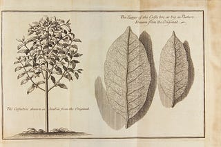 Atlantic Entanglements | Heather Martel | Substack