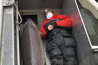 David’s Substack | Dave Dempsey | Substack