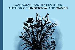 The Seaboard Review | Substack