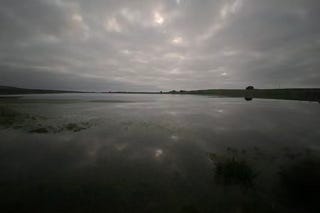 The Adder in the Churchyard Wall | Peter Grey | Substack