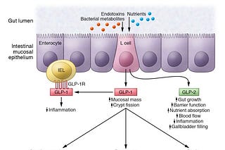 Spurious’s Substack | Check the Facts! | Substack